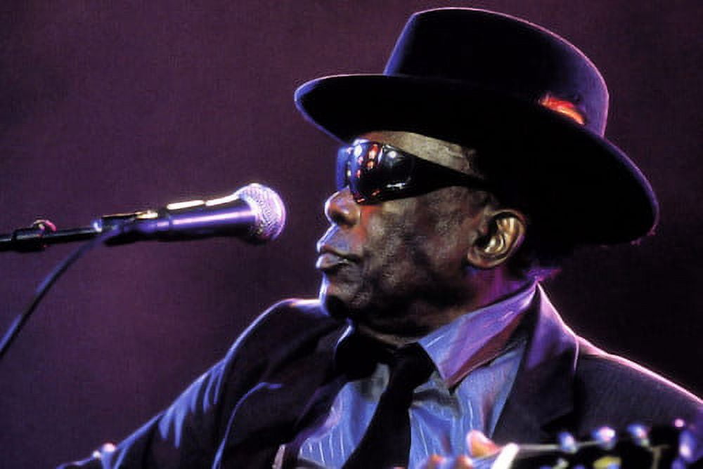 Johnny Lee Hooker in profile iconic Blues Legend Concert 24x36 Poster ...