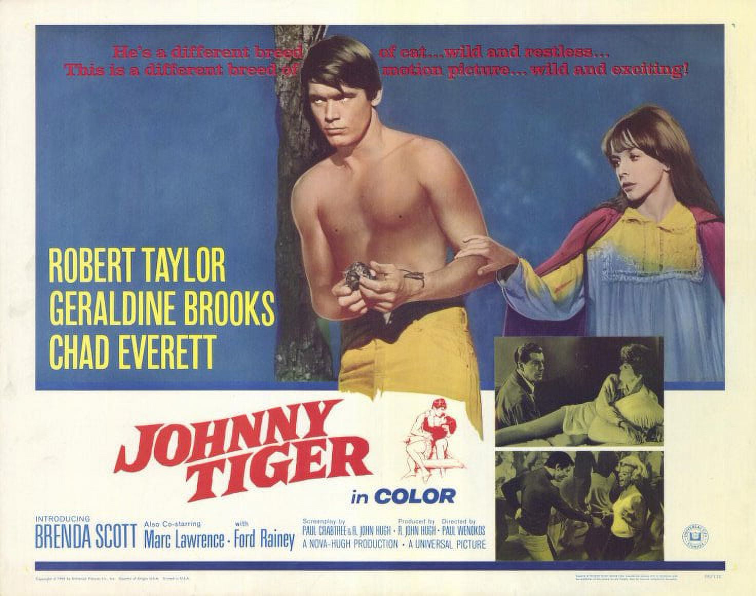 Johnny Tiger - movie POSTER (Style A) (11" x 14") (1966) - Walmart.com
