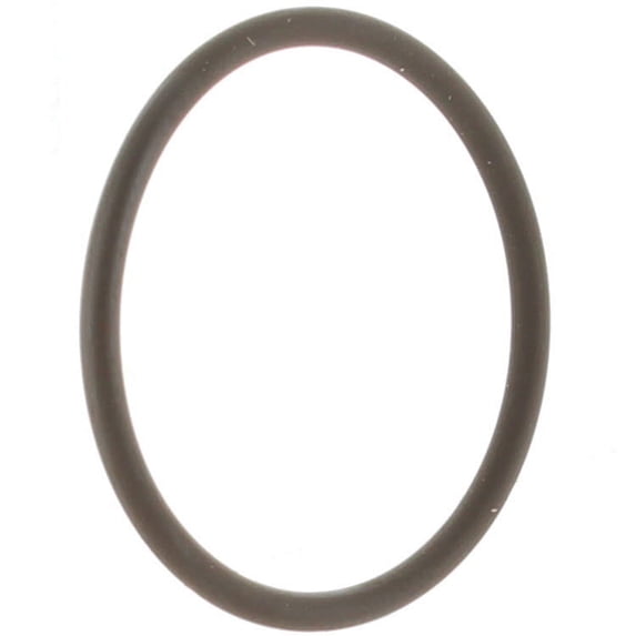 Johnson Evinrude OMC New OEM Fuel Filter Seal, 0124369 - Walmart.com