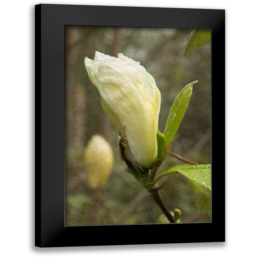 Johnson, George 11x14 Black Modern Framed Museum Art Print Titled ...