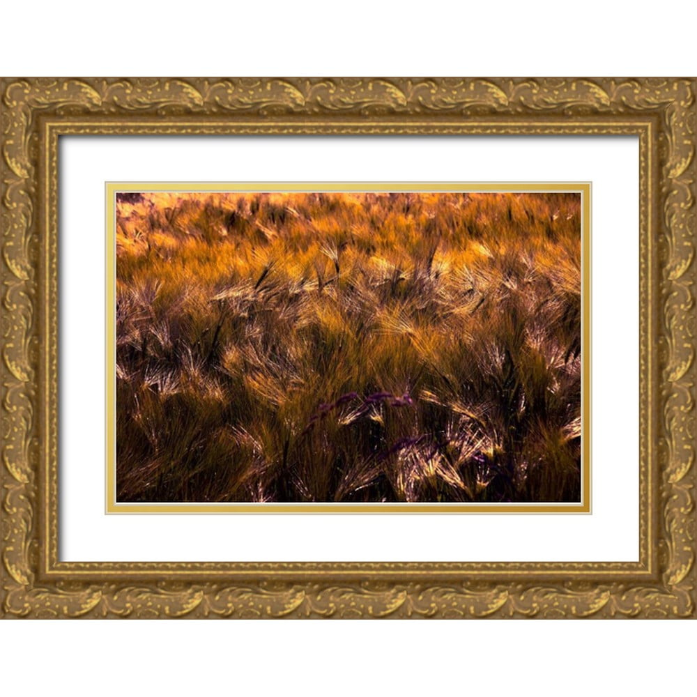 Johnson, George 14x11 Gold Ornate Wood Framed with Double Matting ...