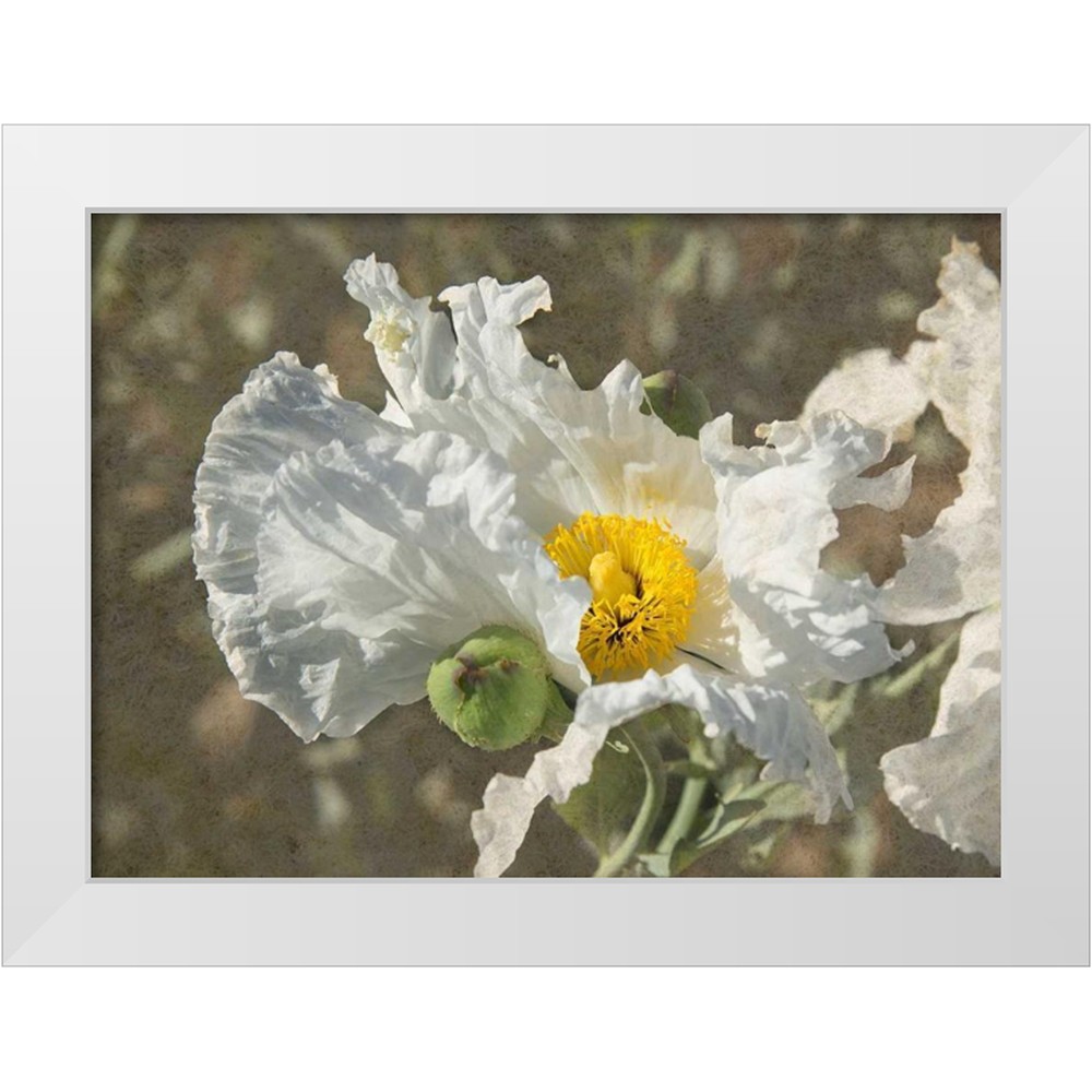 Johnson, George 14x11 White Modern Wood Framed Museum Art Print Titled ...