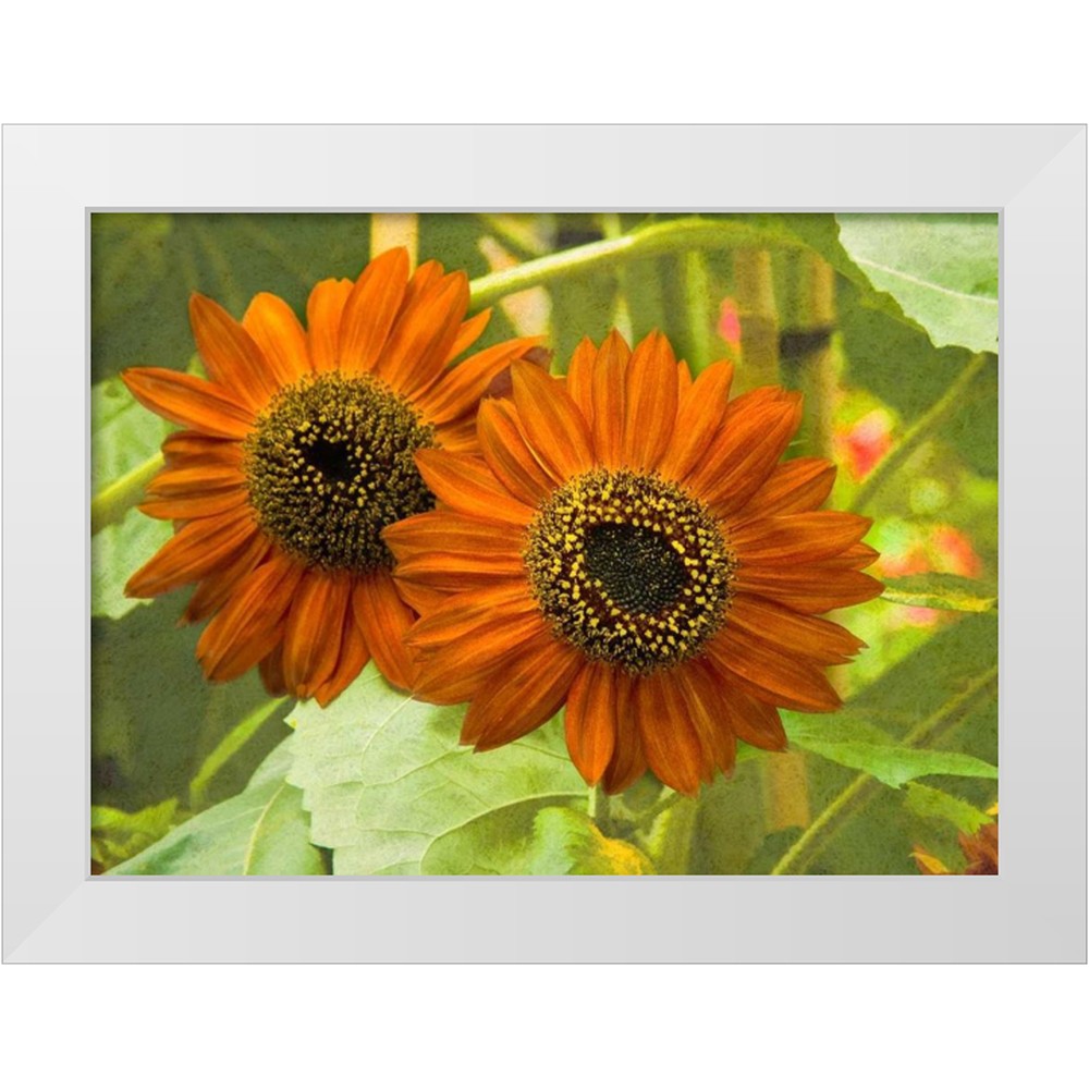 Johnson, George 14x11 White Modern Wood Framed Museum Art Print Titled ...