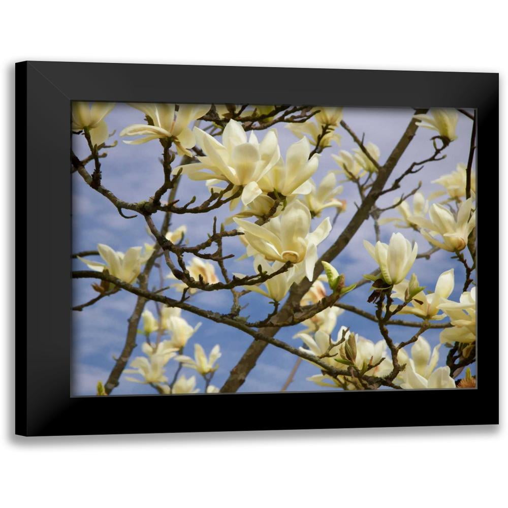 Johnson, George 14x12 Black Modern Framed Museum Art Print Titled ...