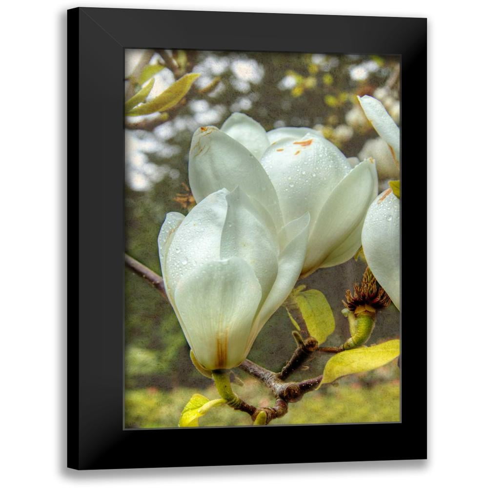 Johnson, George 17x24 Black Modern Framed Museum Art Print Titled ...