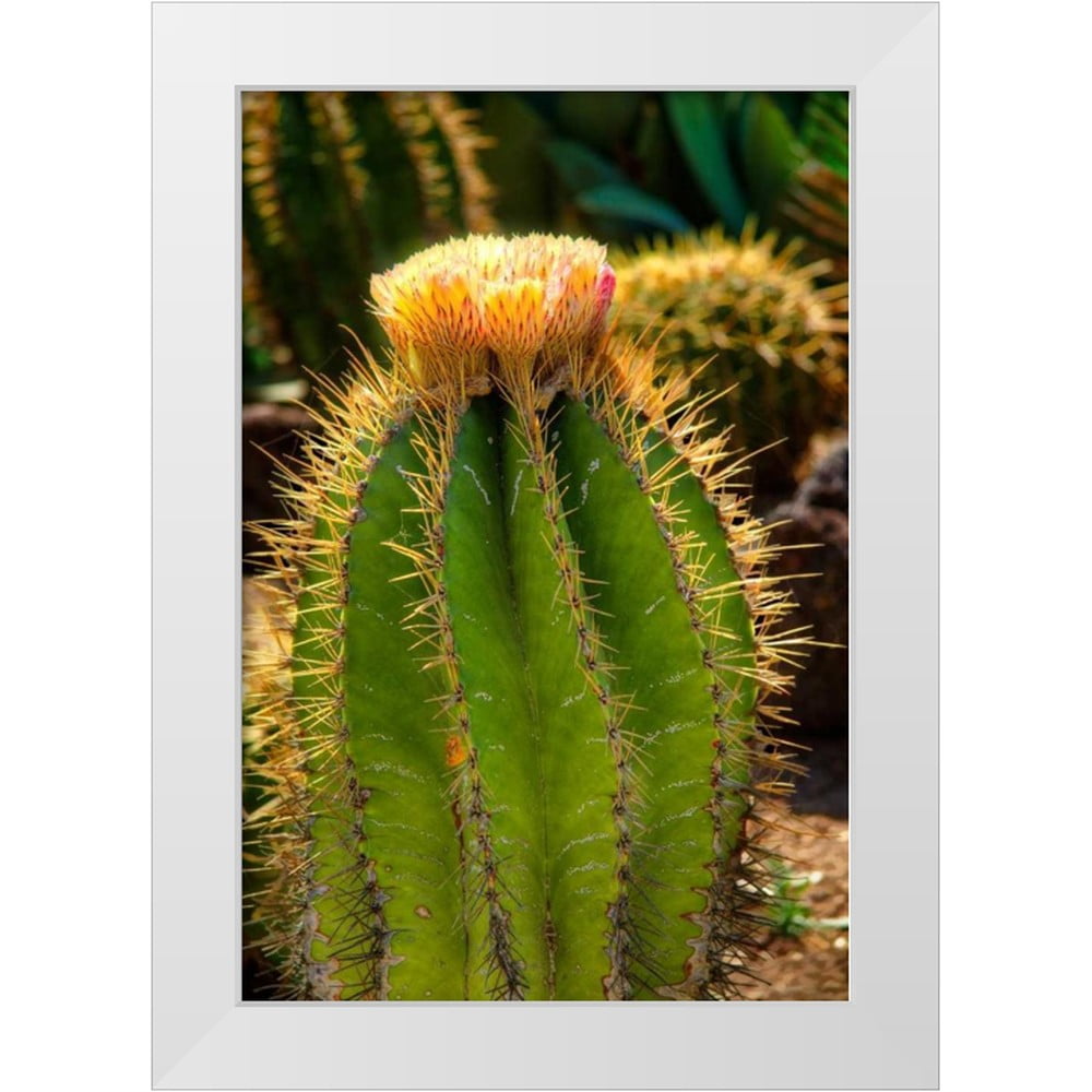 Johnson, George 17x24 White Modern Wood Framed Museum Art Print Titled ...