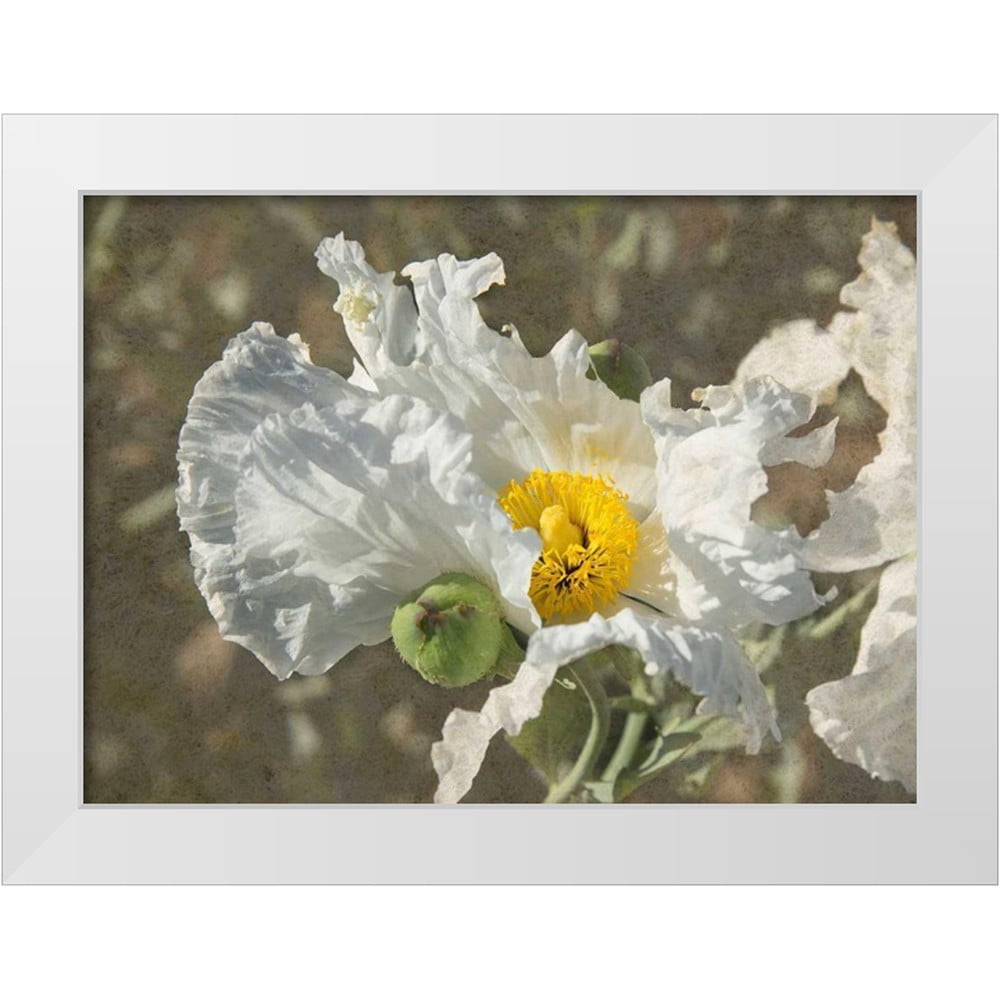 Johnson, George 18x14 White Modern Wood Framed Museum Art Print Titled ...