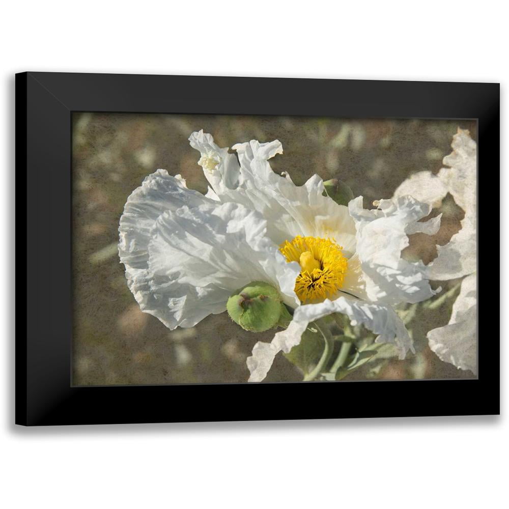 Johnson, George 24x19 Black Modern Framed Museum Art Print Titled ...