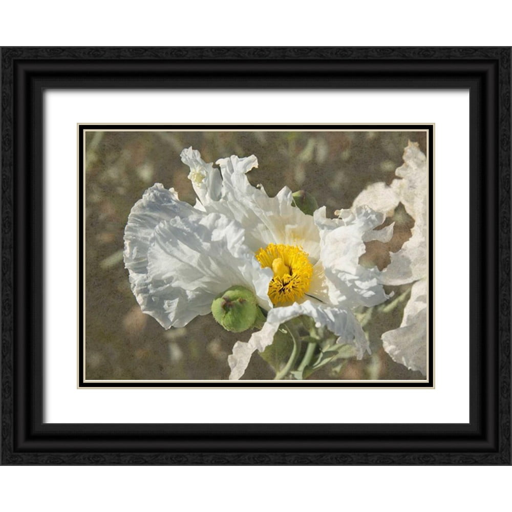 Johnson, George 24x19 Black Ornate Wood Framed with Double Matting ...