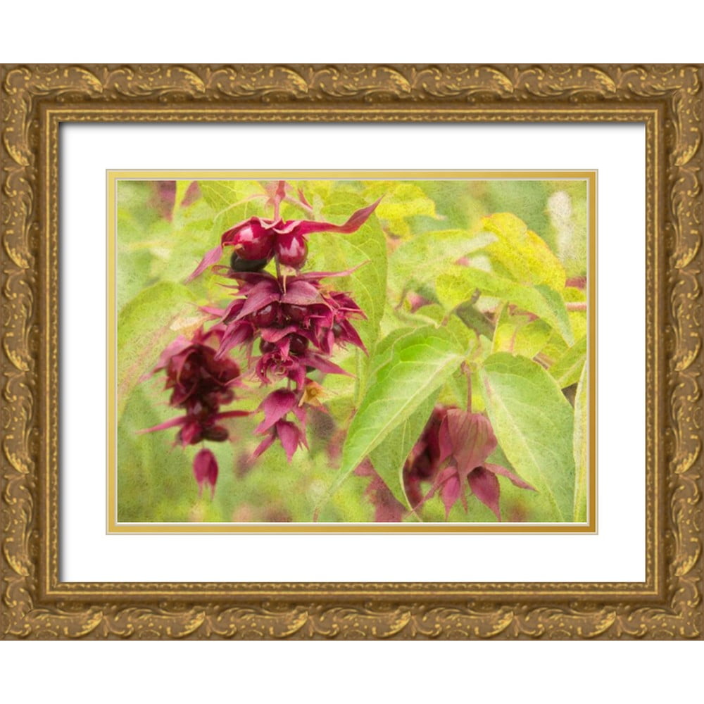 Johnson, George 24x19 Gold Ornate Wood Framed with Double Matting ...