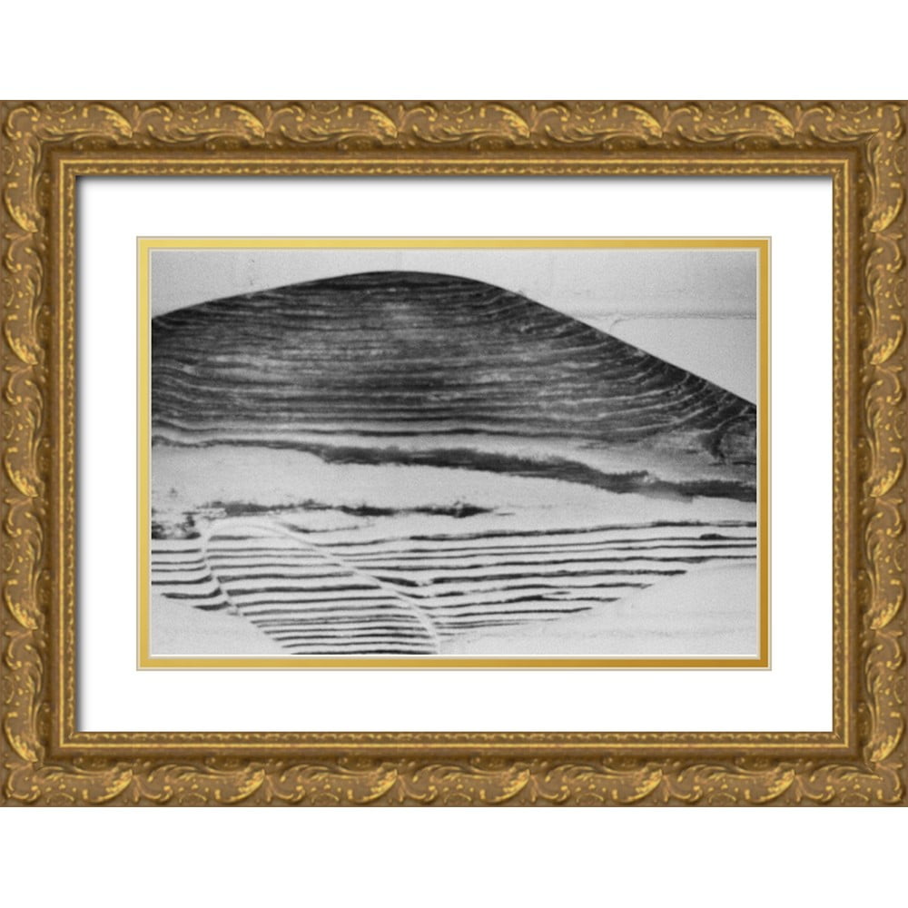 Johnson, Jason 14x11 Gold Ornate Wood Framed with Double Matting Museum ...