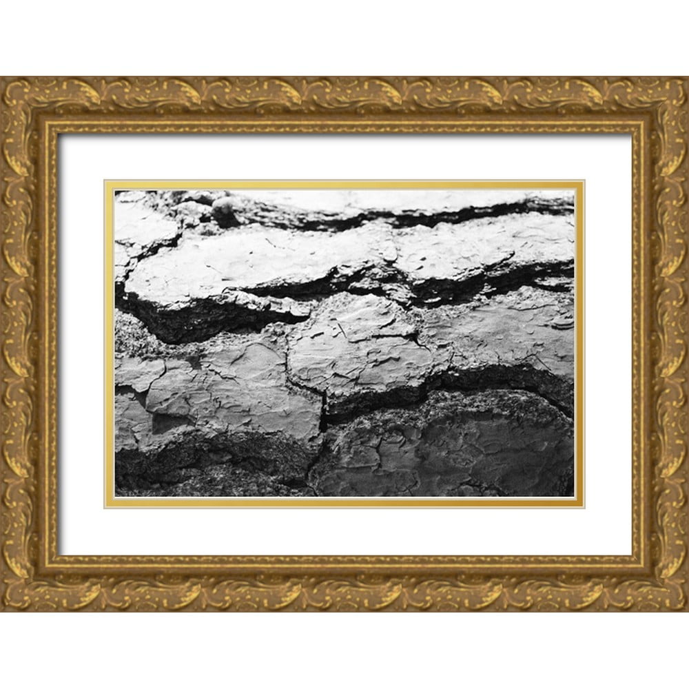 Johnson, Jason 14x11 Gold Ornate Wood Framed with Double Matting Museum ...