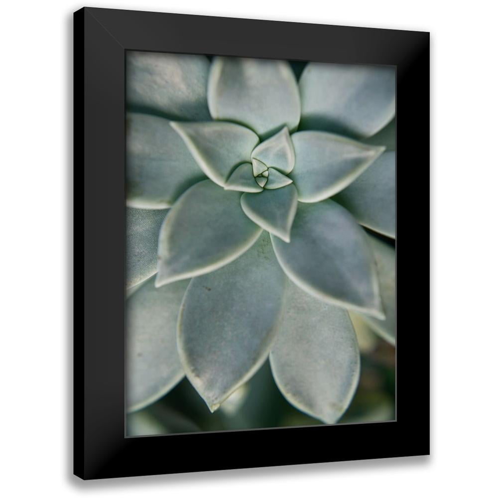 Johnson, Jason 15x18 Black Modern Framed Museum Art Print Titled ...