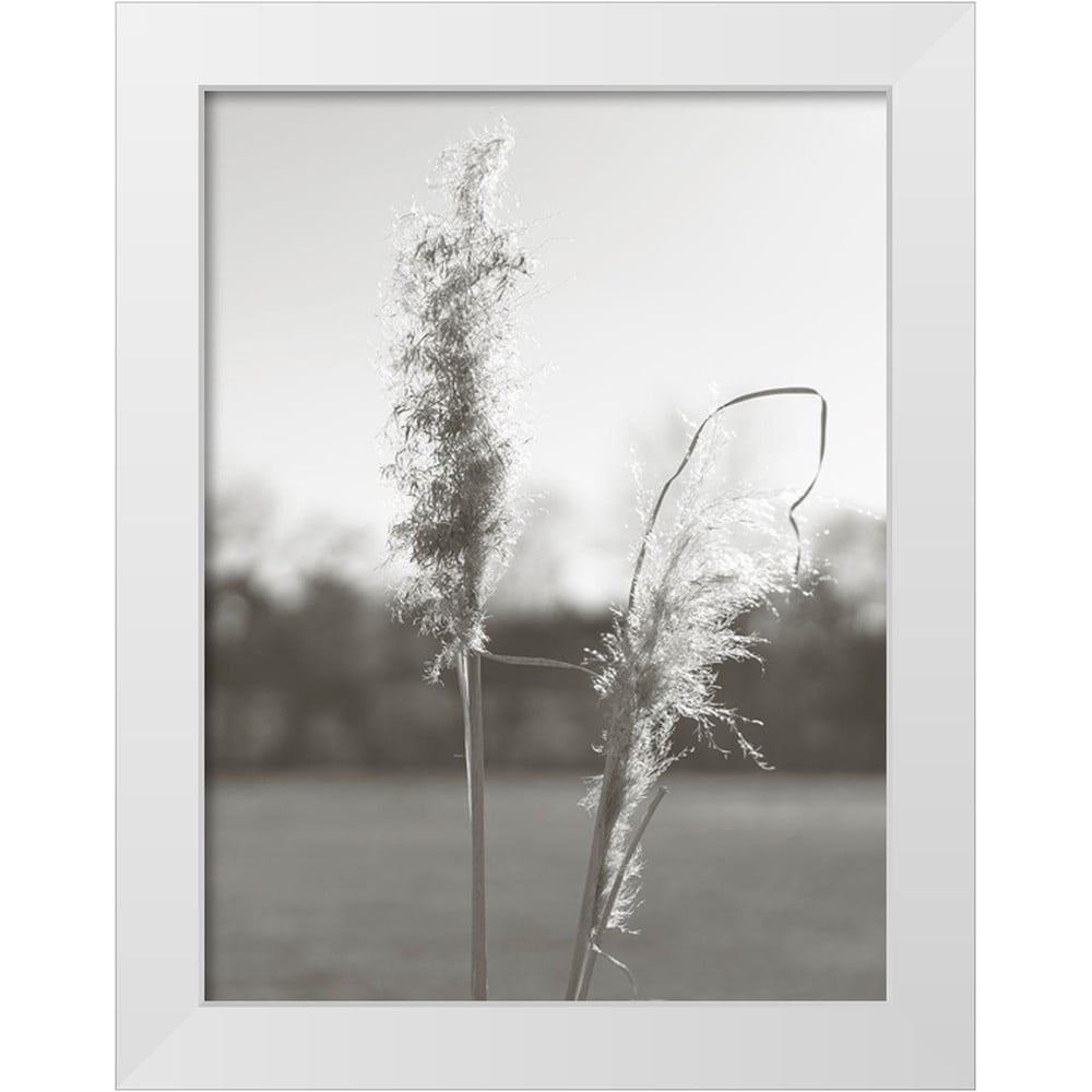 Johnson, Jason 15x18 White Modern Wood Framed Museum Art Print Titled ...