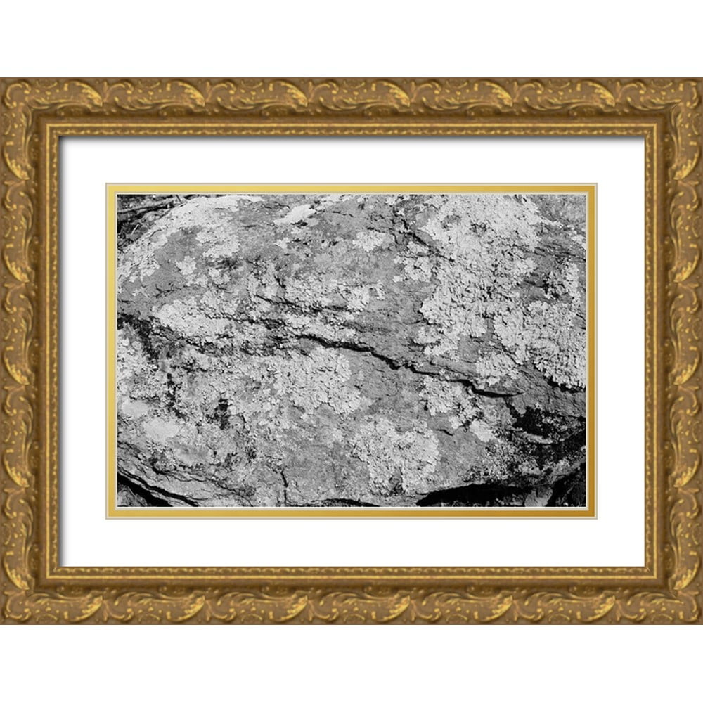 Johnson, Jason 24x17 Gold Ornate Wood Framed with Double Matting Museum ...