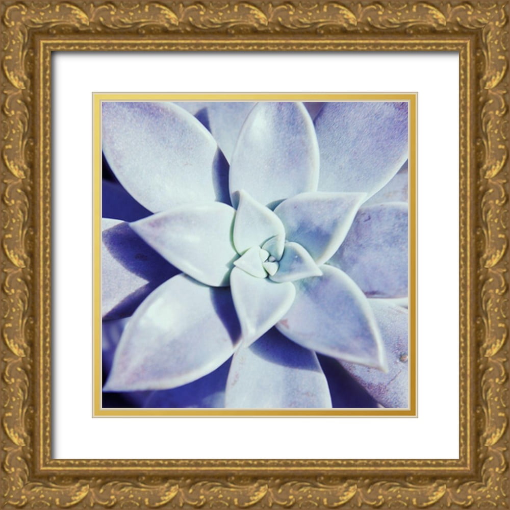 Johnson, Jason 26x26 Gold Ornate Wood Framed with Double Matting Museum ...
