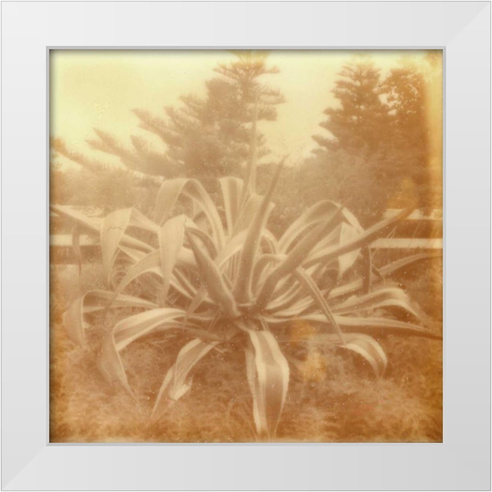 Johnson, Jason 26x26 White Modern Wood Framed Museum Art Print Titled ...