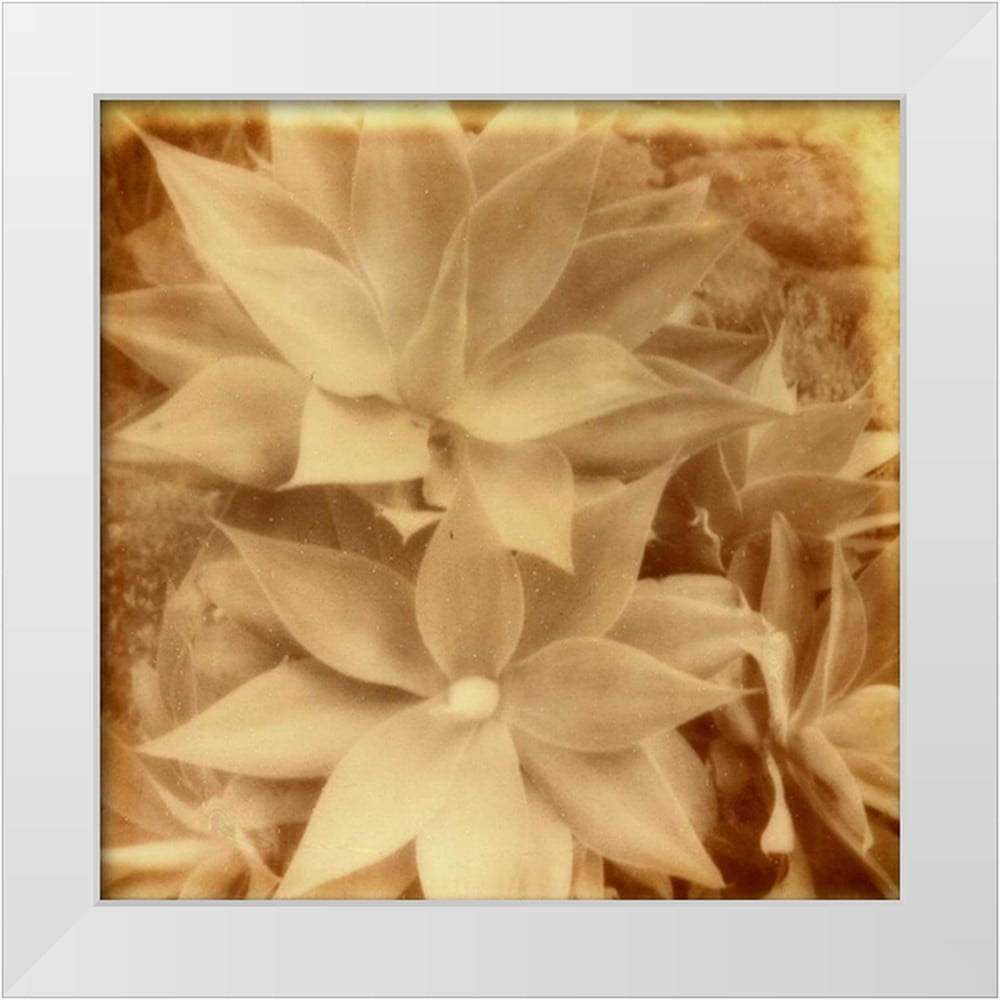 Johnson, Jason 26x26 White Modern Wood Framed Museum Art Print Titled ...