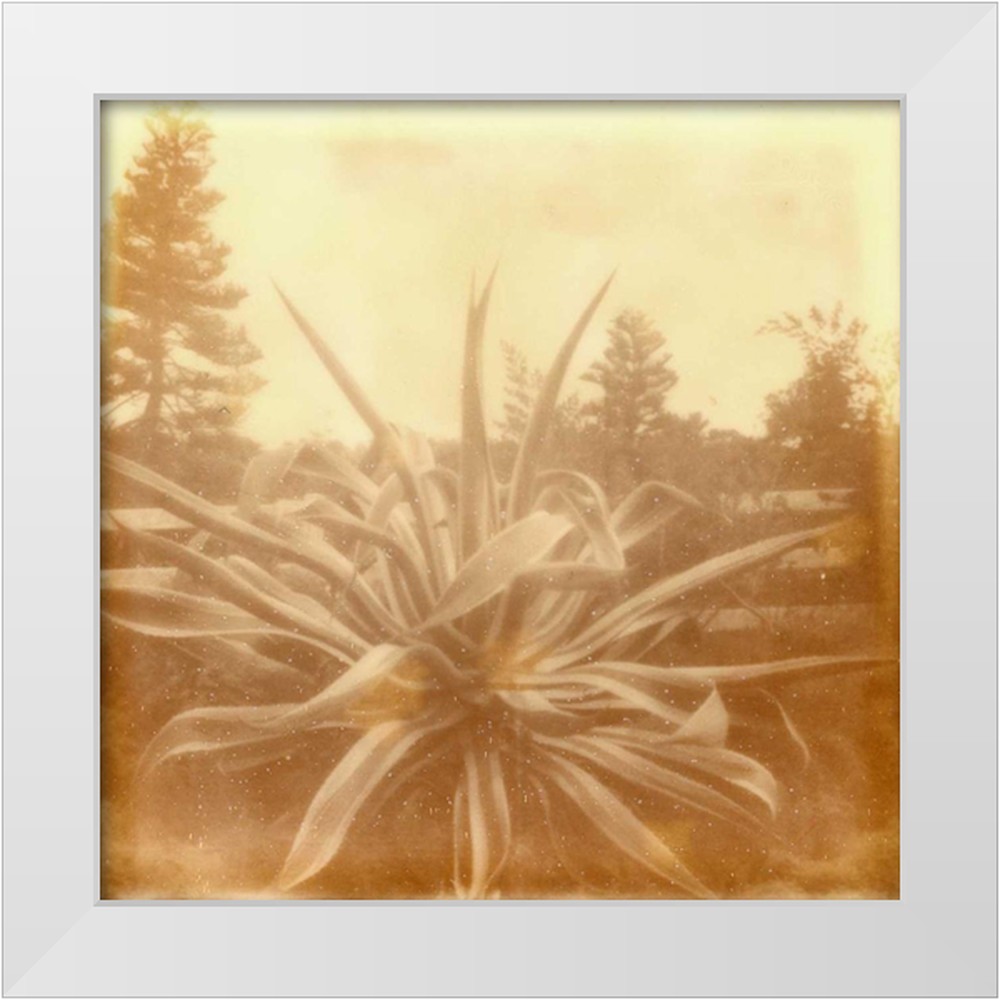 Johnson, Jason 26x26 White Modern Wood Framed Museum Art Print Titled ...