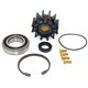 Johnson Pump 09-5000 Volvo Penta/Jp F-5 Series - Repair Kit - Walmart.com