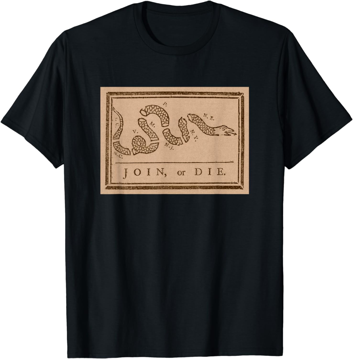 Join or Die Snake - U.S. History T-Shirt - Walmart.com