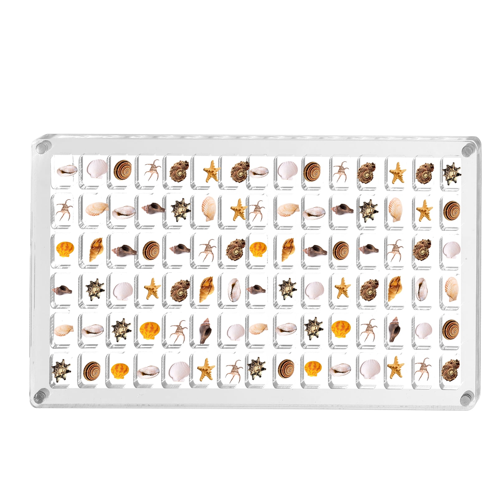 Jokapy Acrylic Magnetic Seashell Display Box, Seashell Storage Box ...