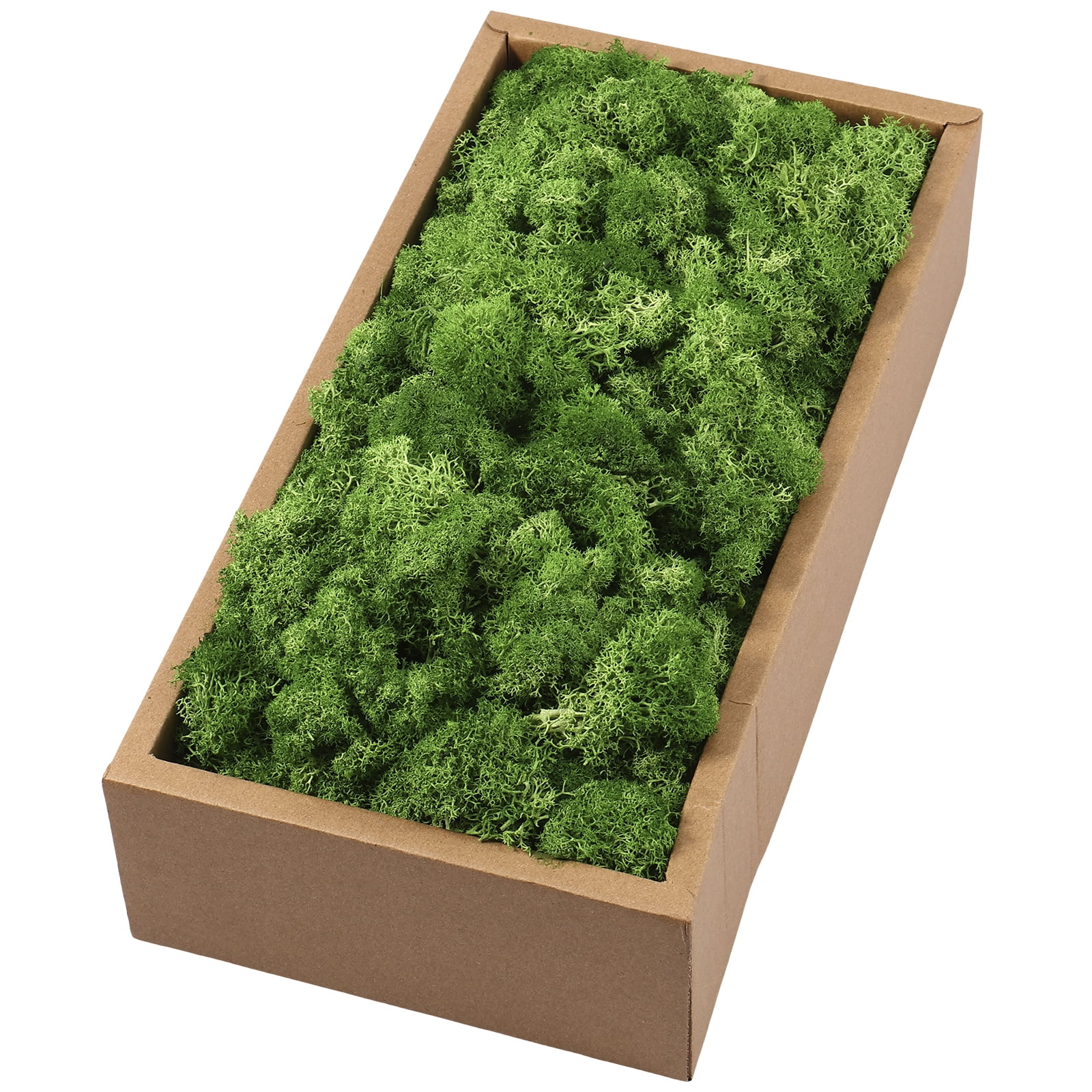 Jokapy Preserved Moss for Crafts Reindeer Moss Artificial Moss for Wall ...