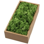 Proflora 18” x 48” Moss Mat, True Green Floramat, Artificial Turf ...