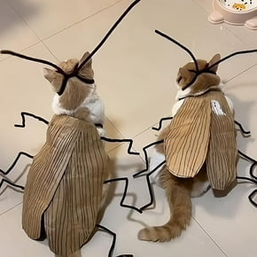 Cockroach Costumes