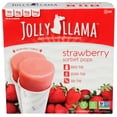 Jolly Llama Strawberry Sorbet Pops - 4 count per pack - 6 packs per ...