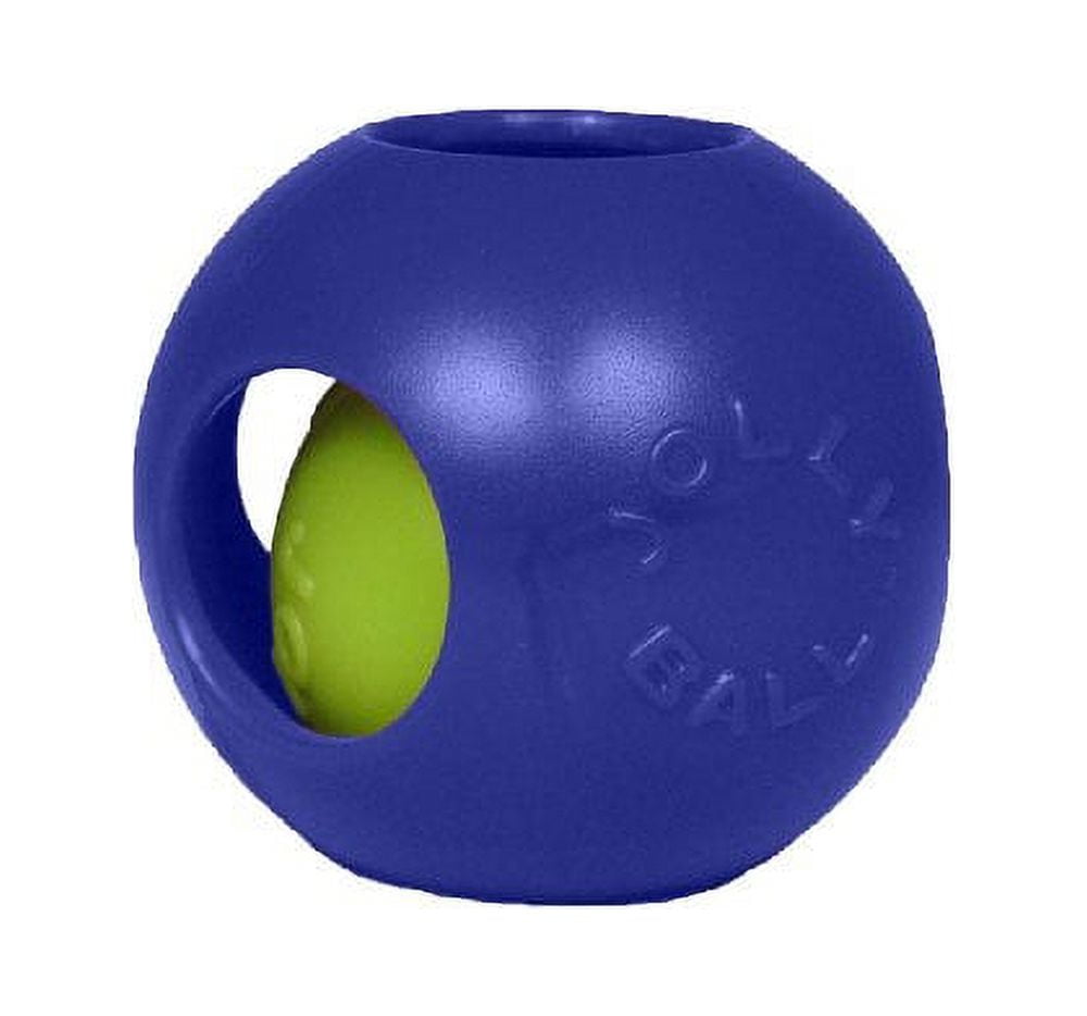 Jolly Pets Jolly Pets Teaser Ball Dog Toy, Large/8 Inches, Blue, Model ...