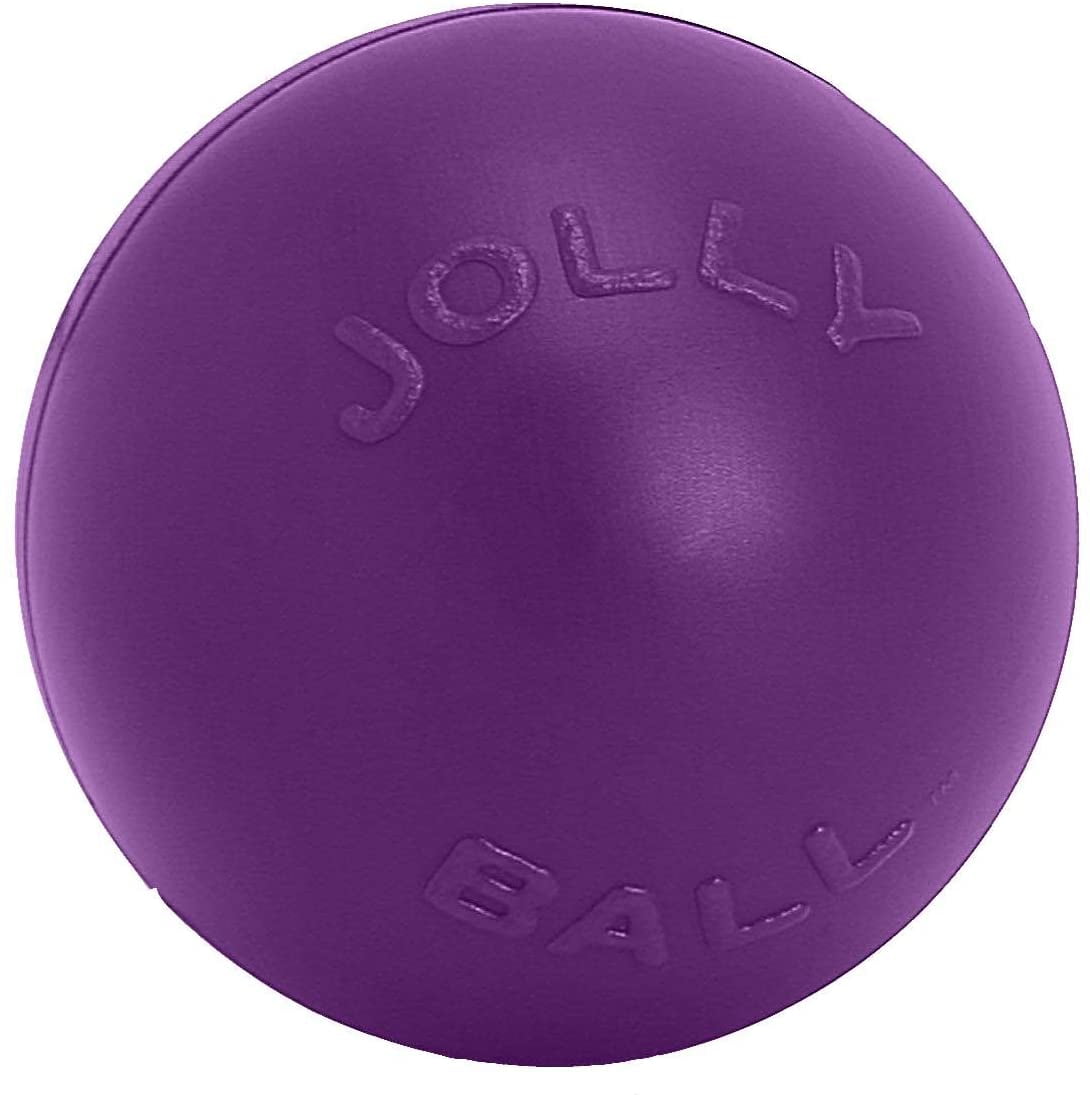 Jolly Pets, Push-n-Play Jolly Ball Dog Toy, 10", Purple - Walmart.com