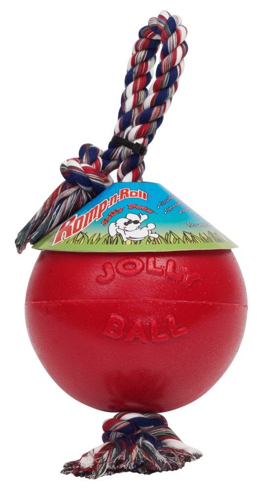 Jolly Pets Romp-n-Roll 6 inch Red Rubber Ball with Rope for Dogs ...