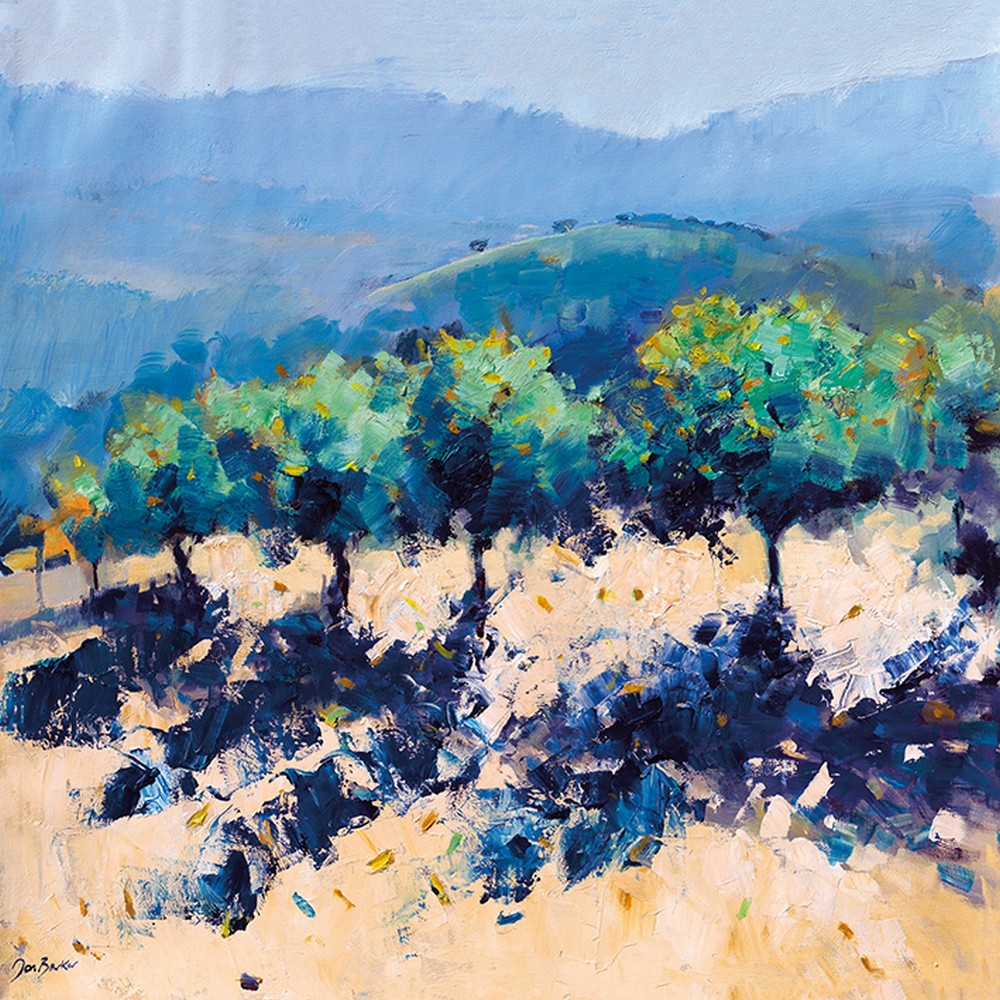 Jon Barker Morning Shadows Simou Poster - Walmart.com