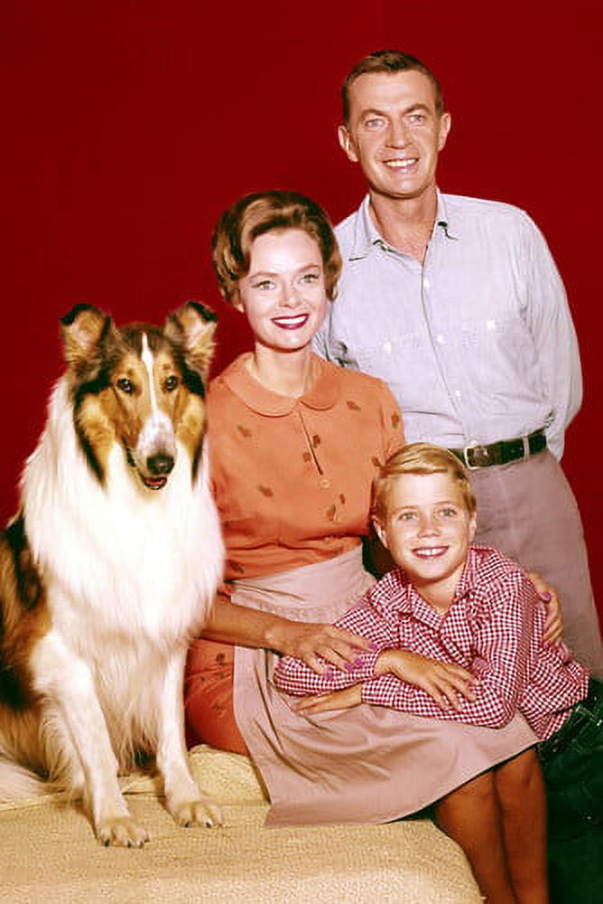 Jon Provost June Lockhart in Lassie 24x36 Poster - Walmart.com
