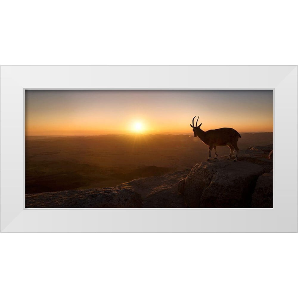 Jonas, Nadav 18x11 White Modern Wood Framed Museum Art Print Titled - A ...
