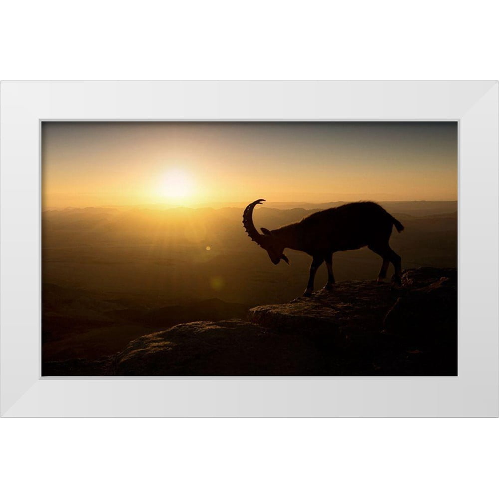 Jonas, Nadav 18x13 White Modern Wood Framed Museum Art Print Titled ...