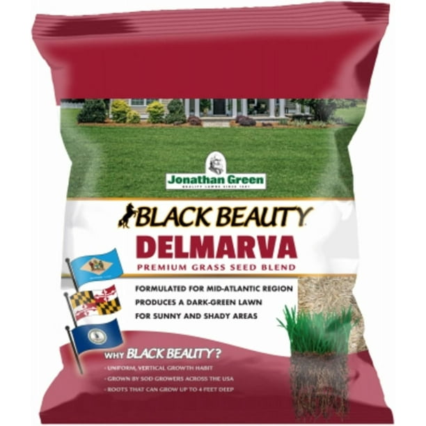 Jonathan Green 10391 Black Beauty Delmarva Grass Seed Made for Maryland ...