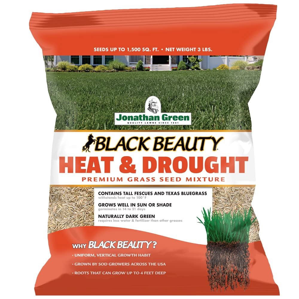 Jonathan Green (10514) TWE5 Black Beauty Heat & Drought Resistant Grass ...