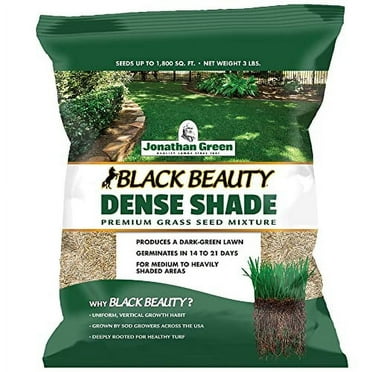 Jonathan Green Black Beauty Ultra Grass Seed, 1 lb - Dark Green Color ...