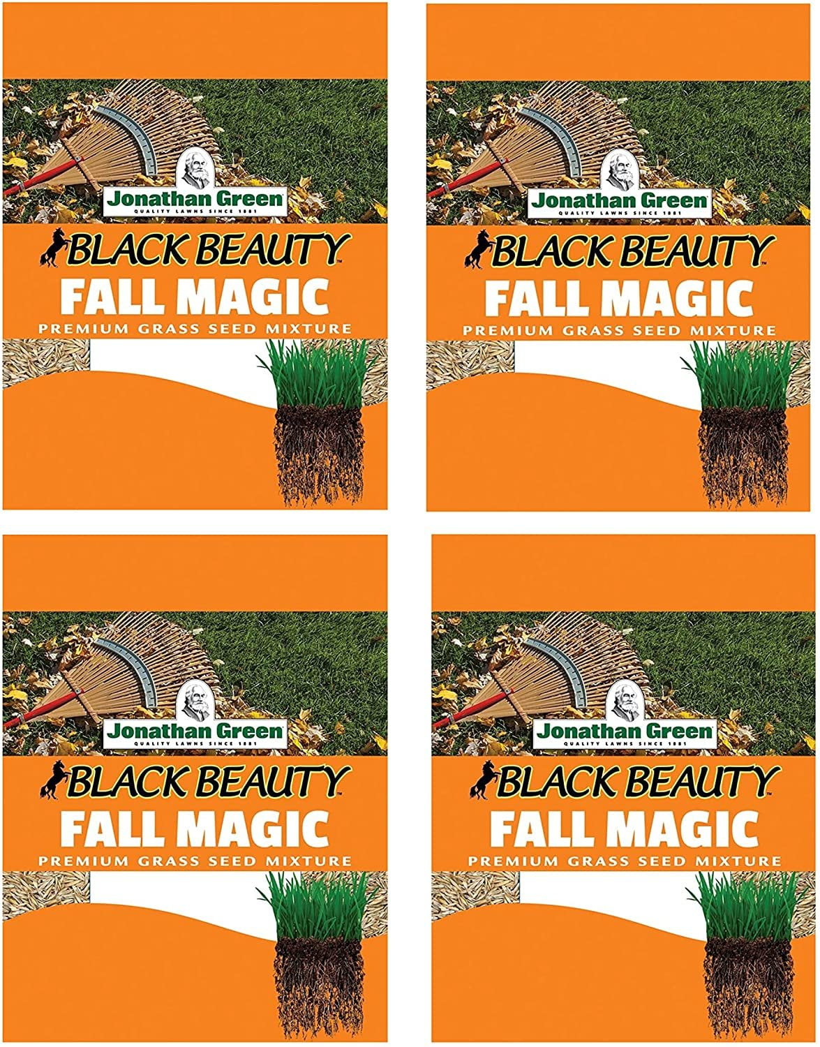 Jonathan Green Fall Magic Grass Seed Mix, Perennial Turfgrasses ...