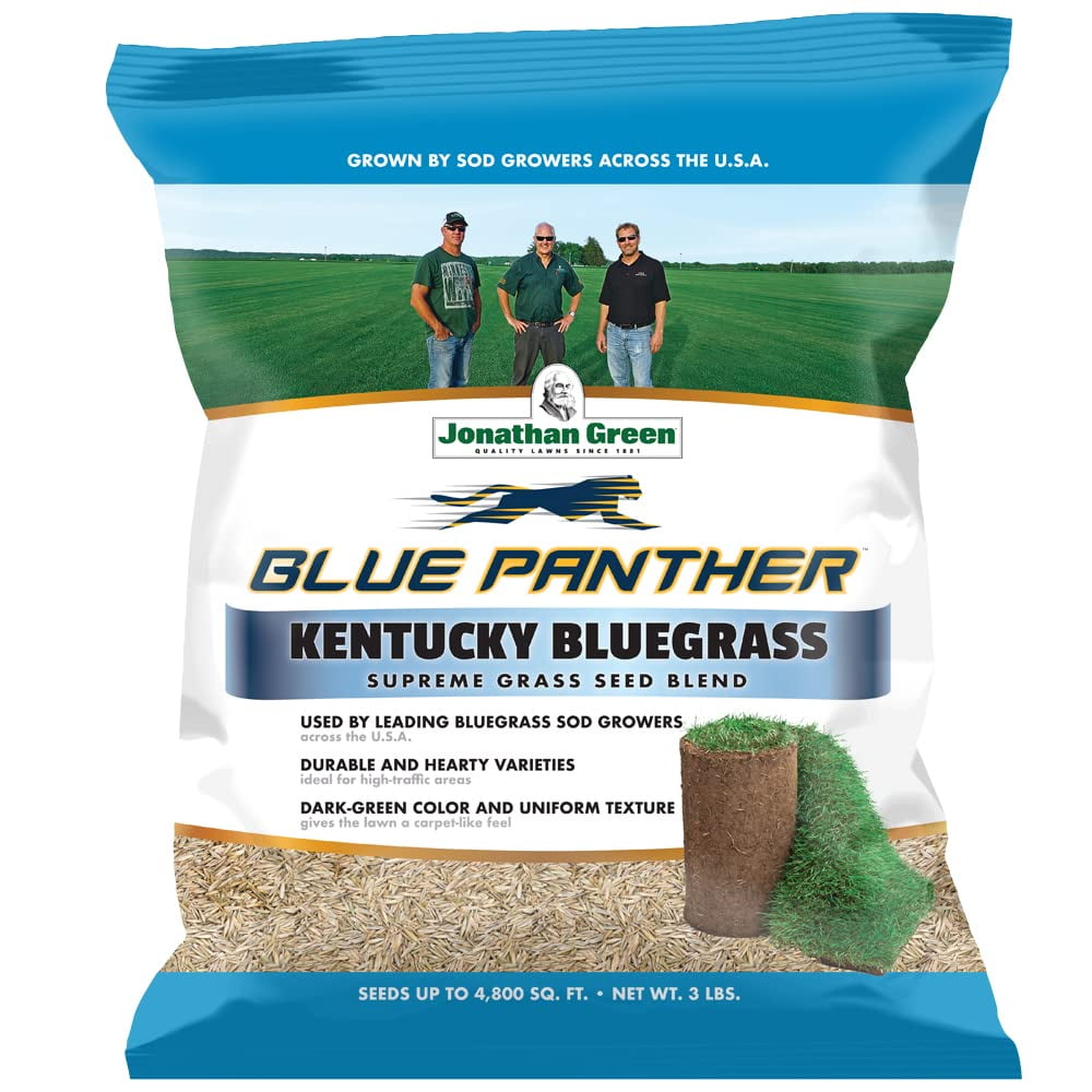 Jonathan Green (11970) Blue Panther Kentucky Bluegrass Grass Seed ...