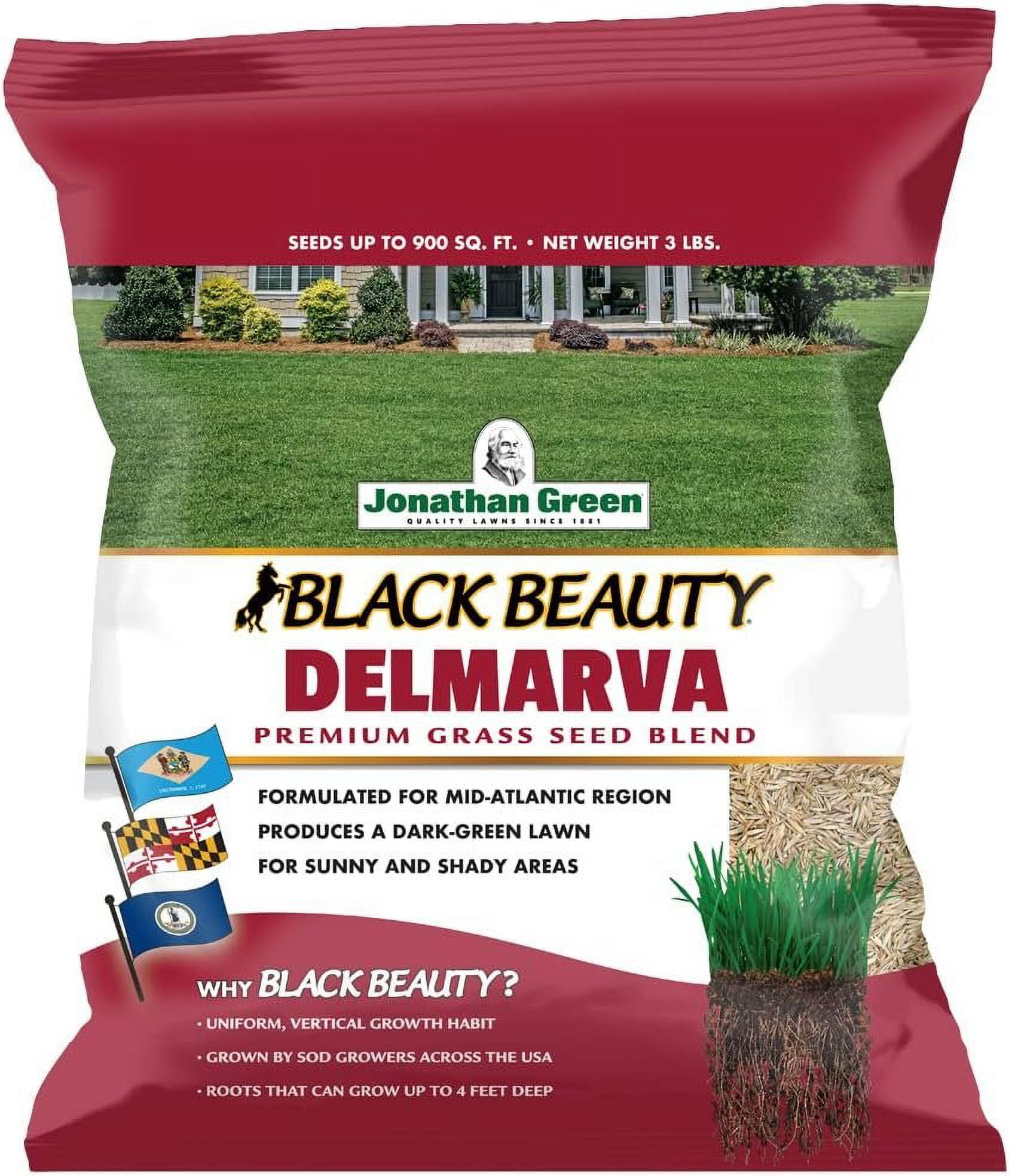 Jonathan Green Black Beauty Delmarva Grass Seeds, 3 lb - Cool Season ...