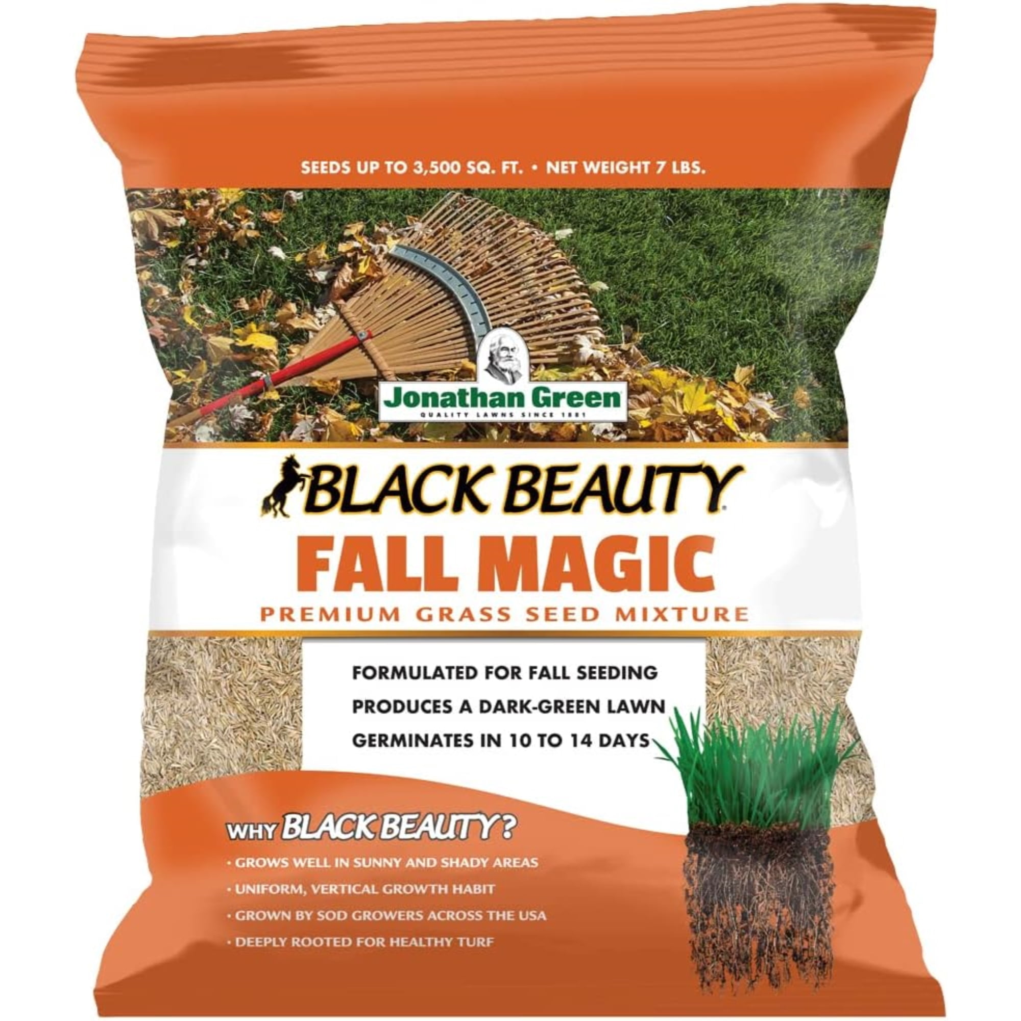 Jonathan Green Black Beauty Fall Magic Lawn Grass Seed for Sun or Shade ...