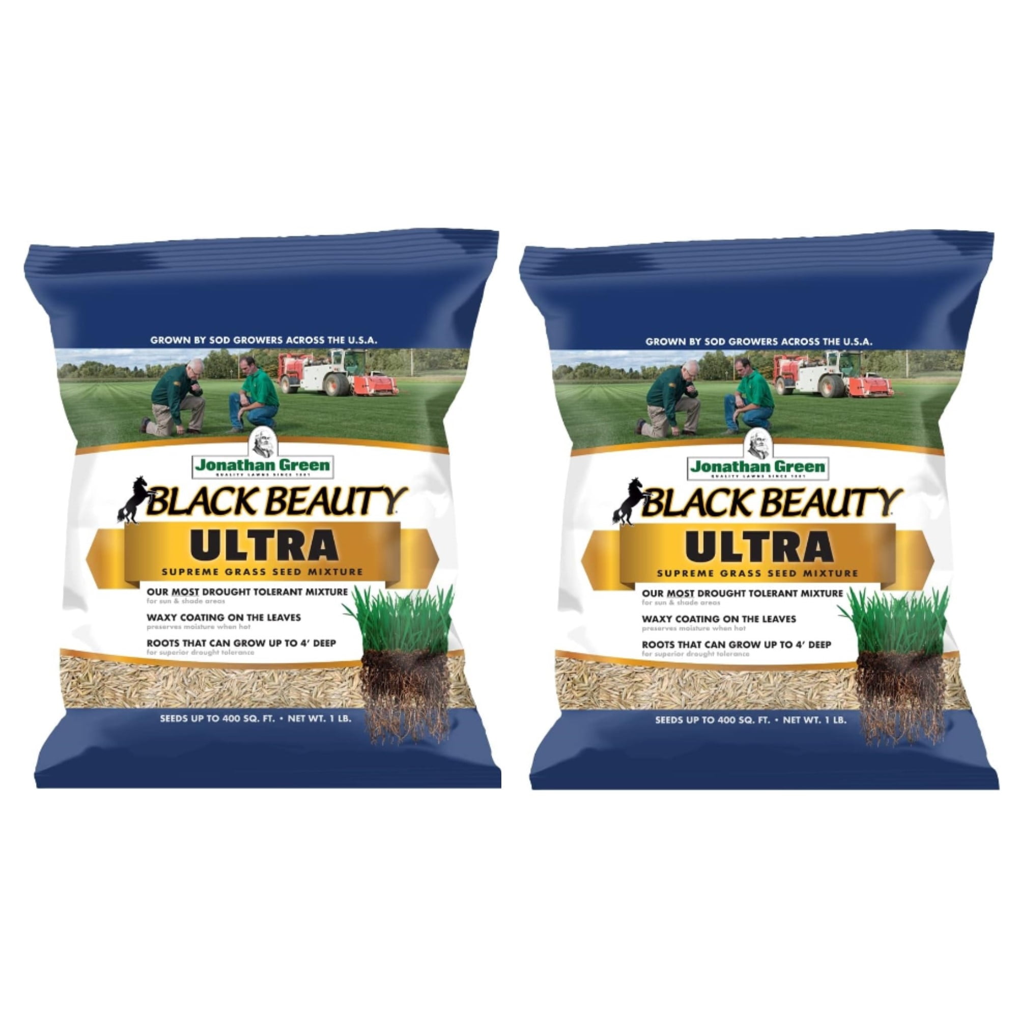 Jonathan Green Black Beauty Ultra Grass Seed Mix, 1-Pound 2-Pack for ...