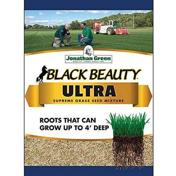 Jonathan Green Black Beauty Ultra Lawn Repair 7 Lb. - Walmart Business ...