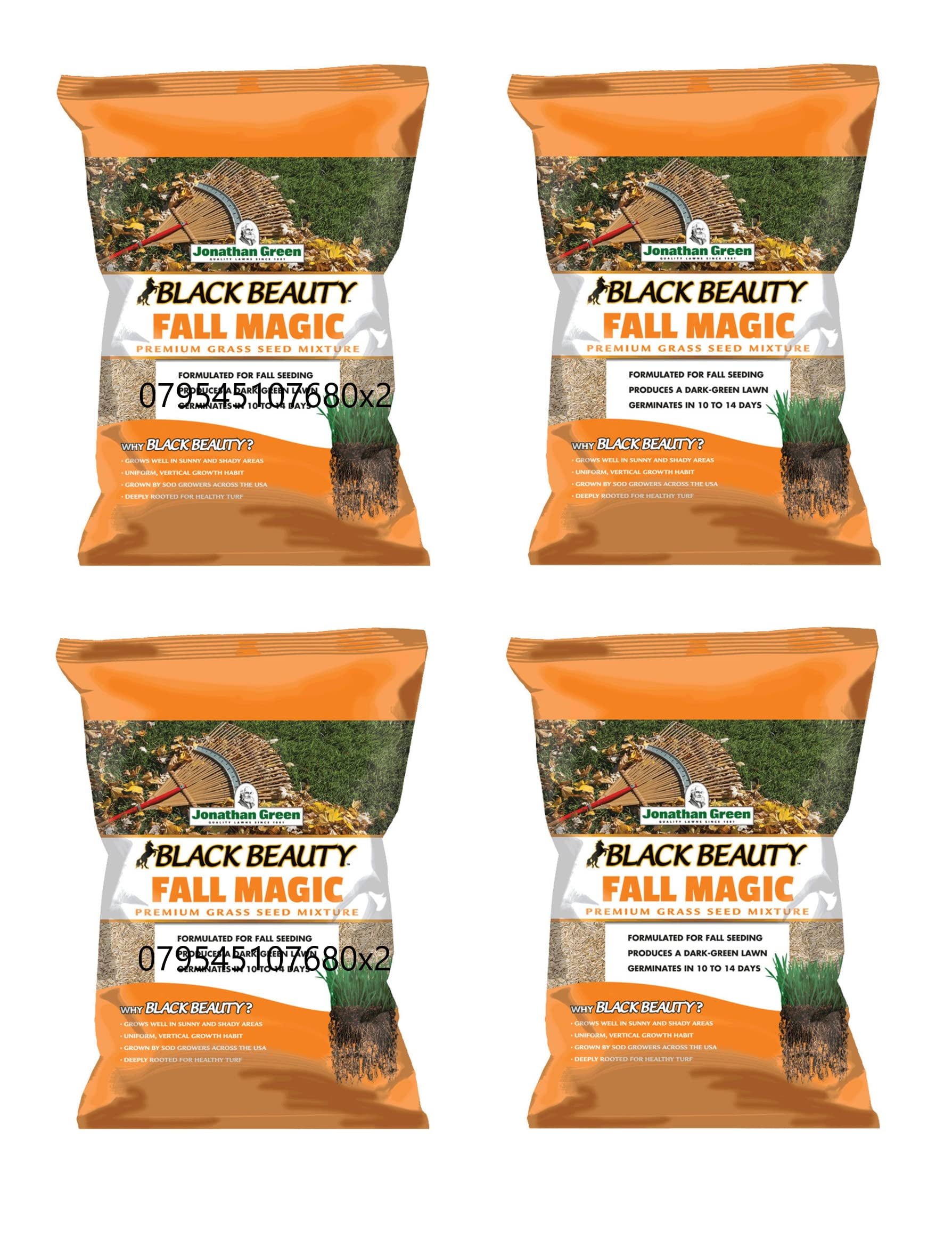 Jonathan Green Fall Magic Grass Seed MVR1 Mix, 7 Pounds (4 Pack ...