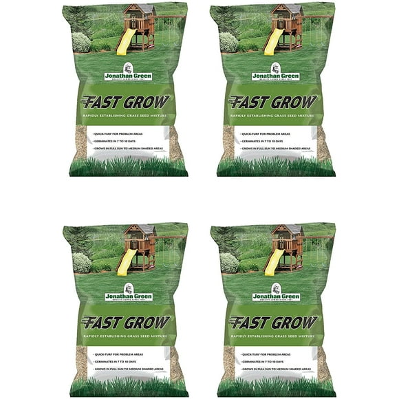 Fast Grass Seed