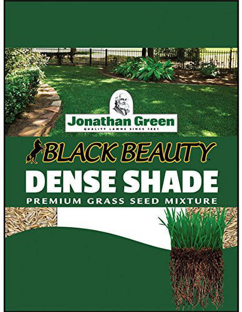Jonathan Green JOG10600 40600 SSF20 Dense Shade Grass Seed, 3 lb, 3 ...