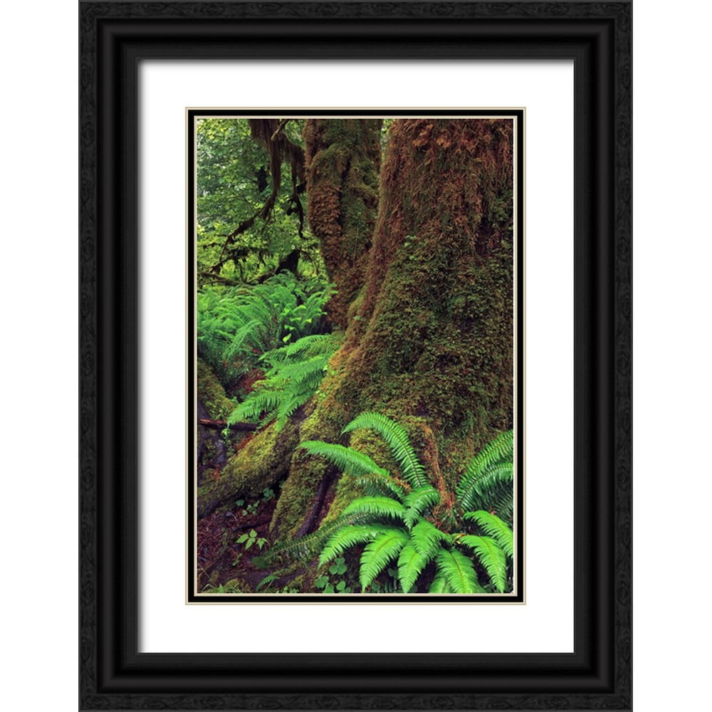 Jones, Adam 11x14 Black Ornate Wood Framed with Double Matting Museum ...